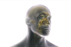 Our Products – FPI – Future Pharmaceutical Industries